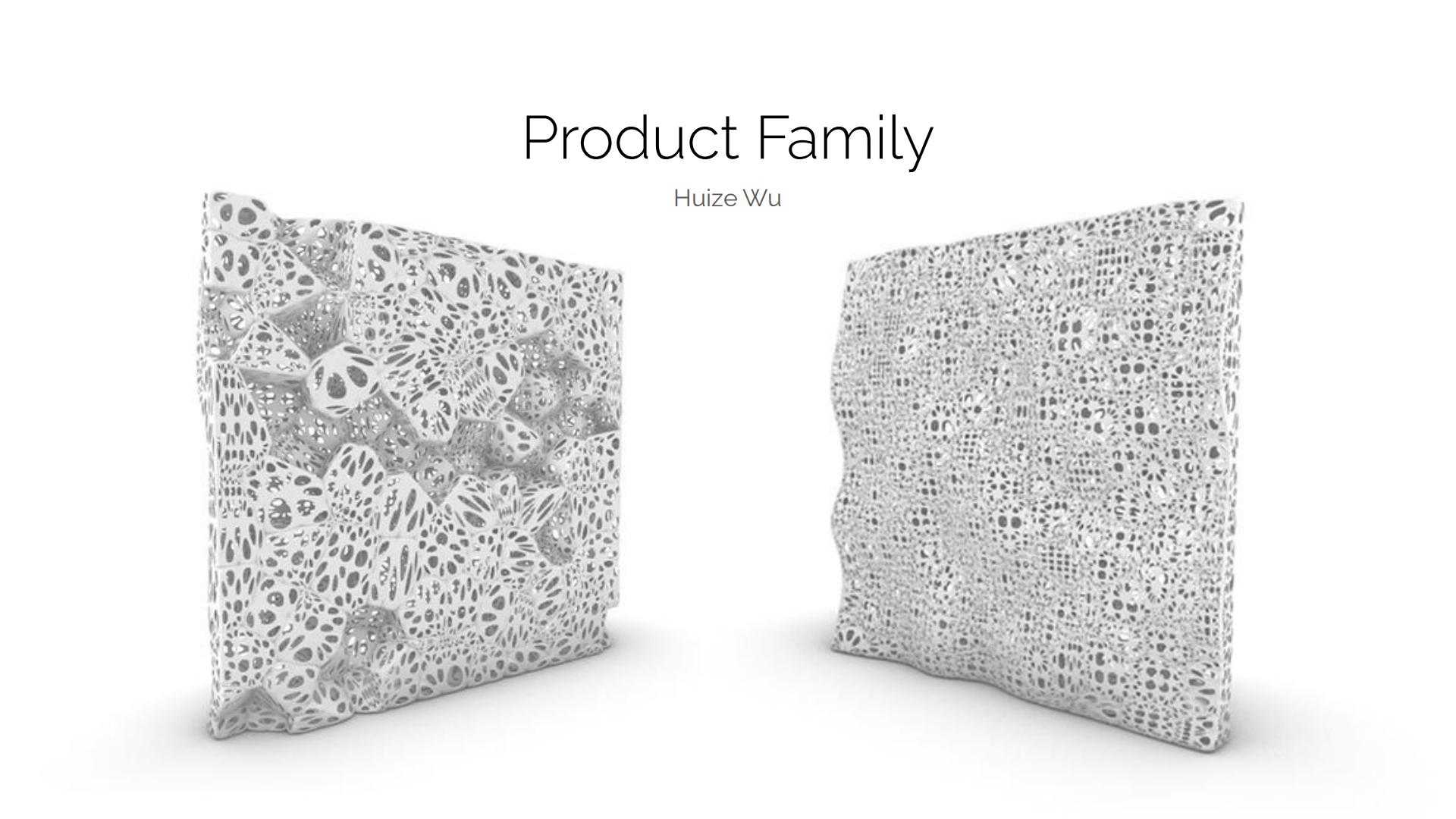 Product Family _ Final Presentation – Parametrics